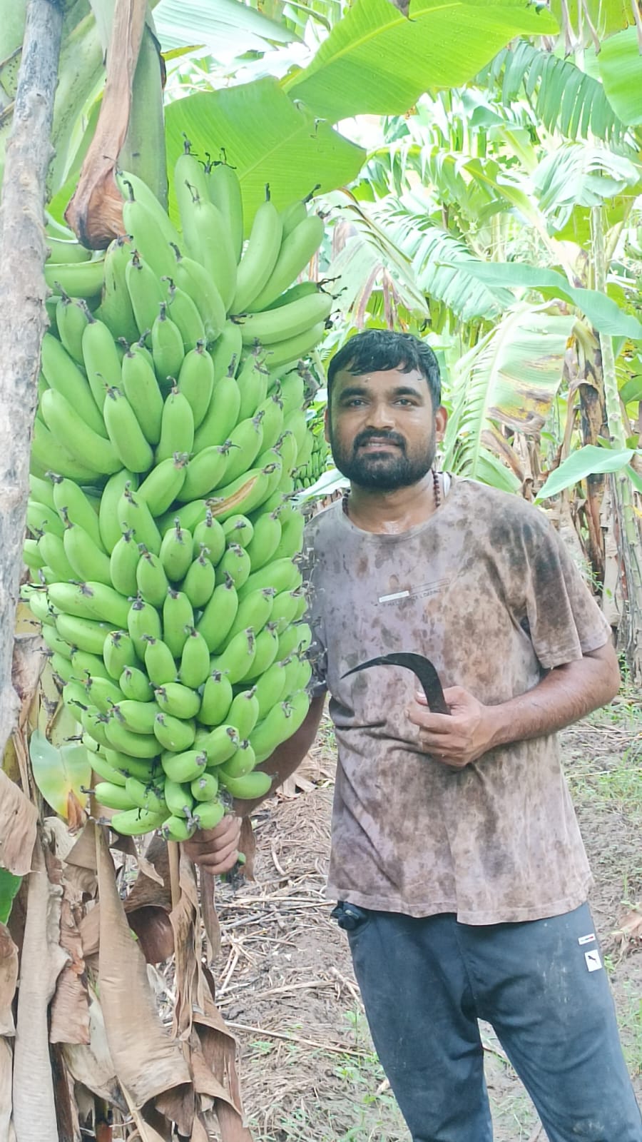 Gujarat: Young Farmer gives up chemical fertilisers after father's ...