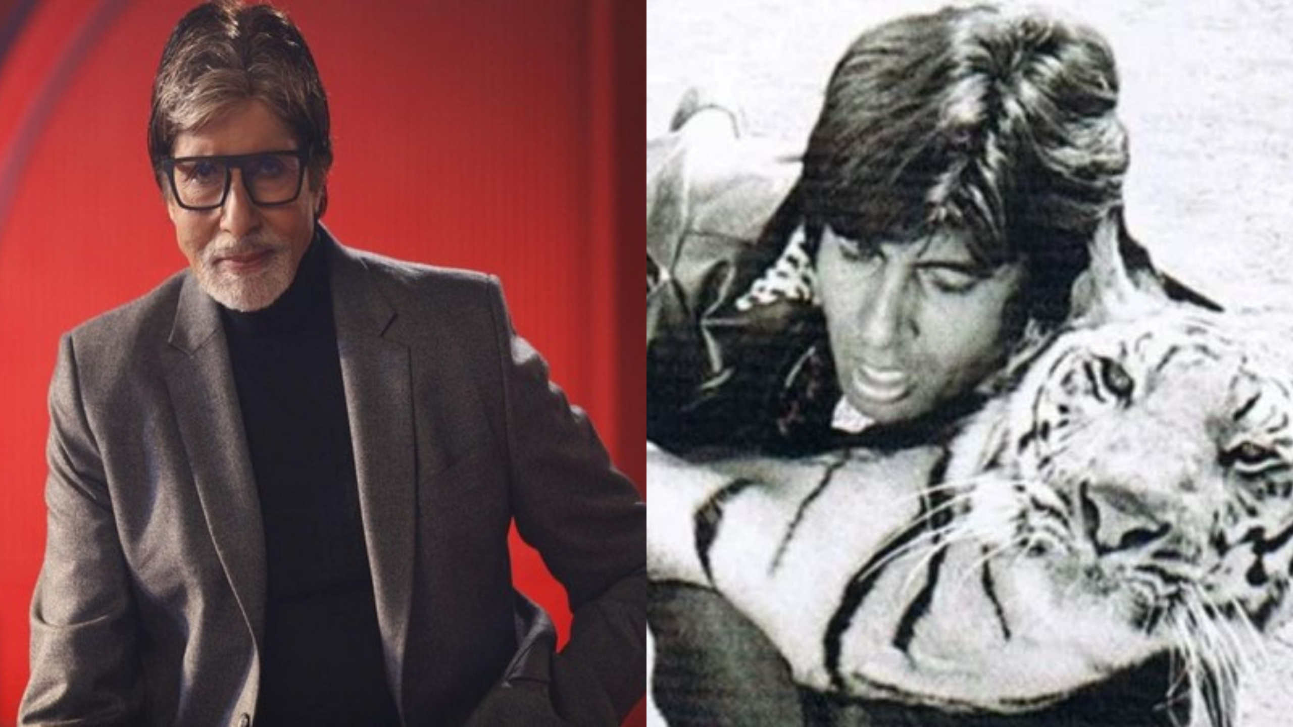 International Tiger Day: Actors who fought real tigers for films