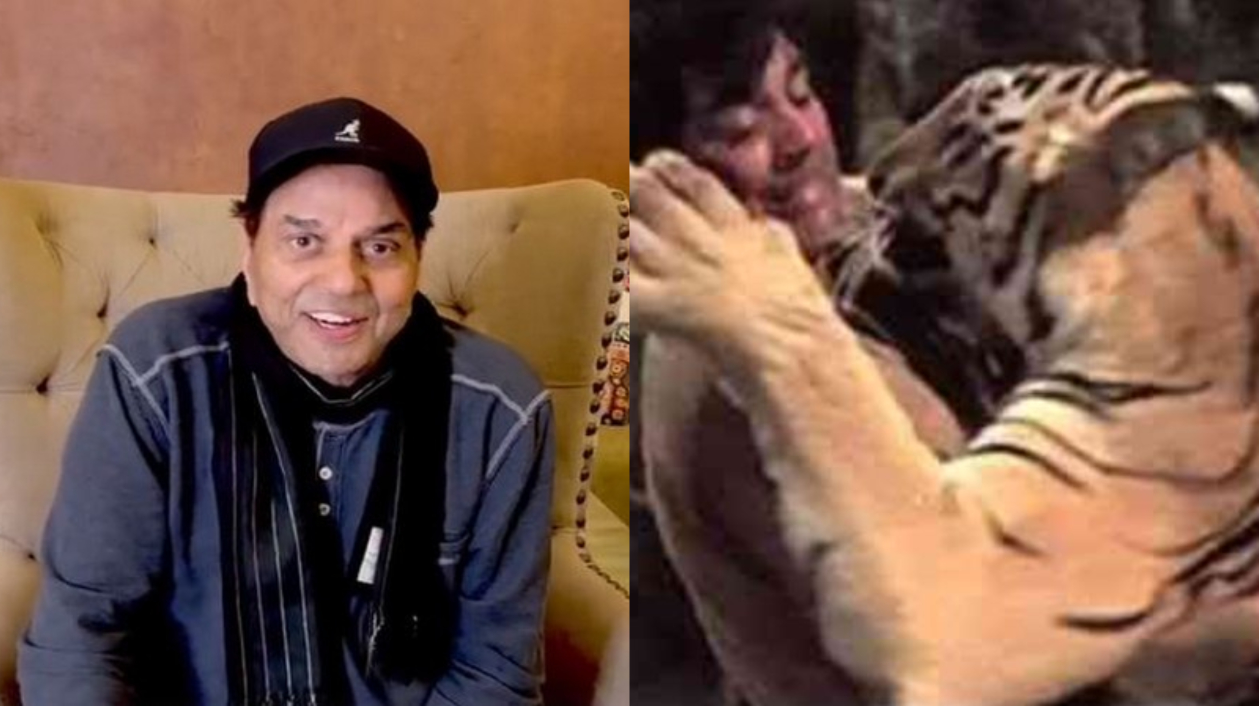 International Tiger Day: Actors who fought real tigers for films