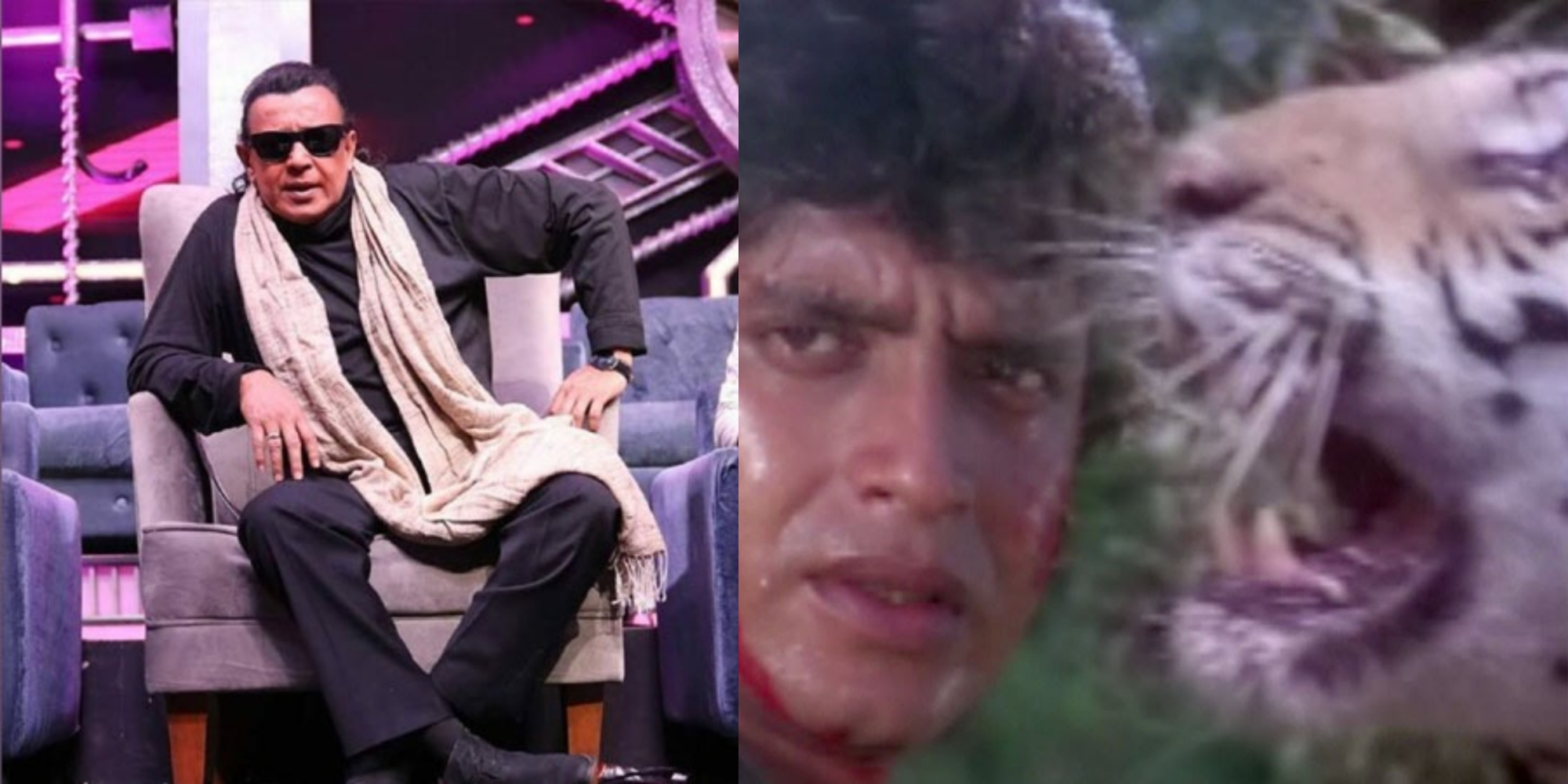 International Tiger Day: Actors who fought real tigers for films