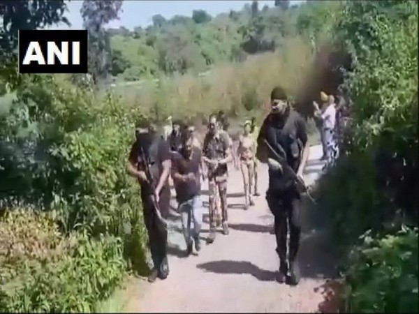 Police conduct searches in Punjab-Himachal Pradesh border after an ...