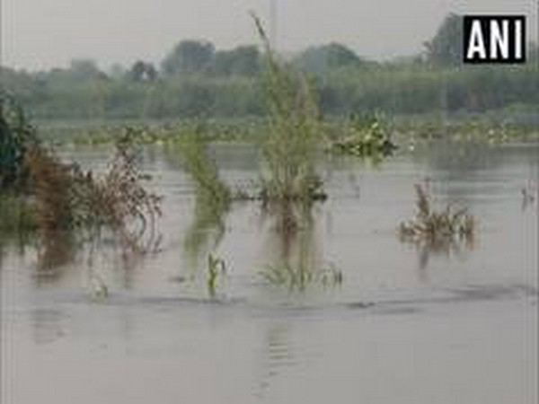 Yamuna's water quality improves during lockdown due to lesser effluents ...