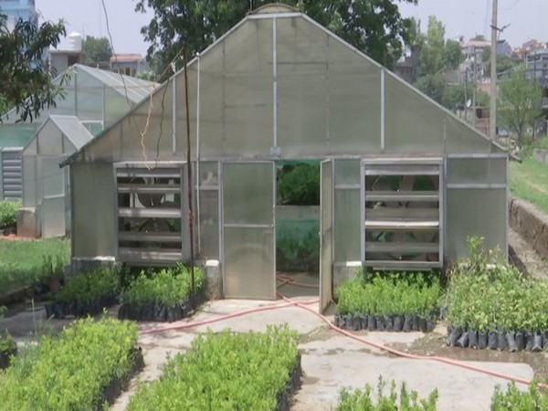 JK administration sets up hi-tech nurseries in Rajouri district to give ...