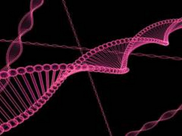 Researchers discover 3D structure responsible for regulating gene ...