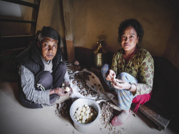 Protein Week 2021: Study suggests nearly one in two Indian adults have ...