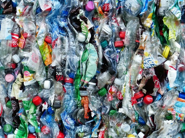 Study finds more microbes can degrade plastics at heavy plastic ...